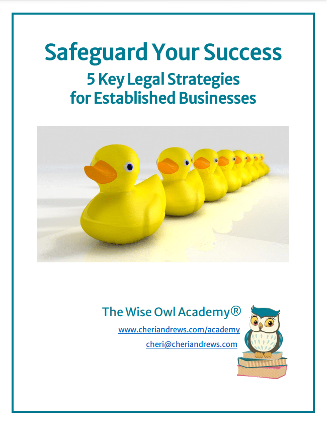 Safeguard Your Success - Cheri Andrews